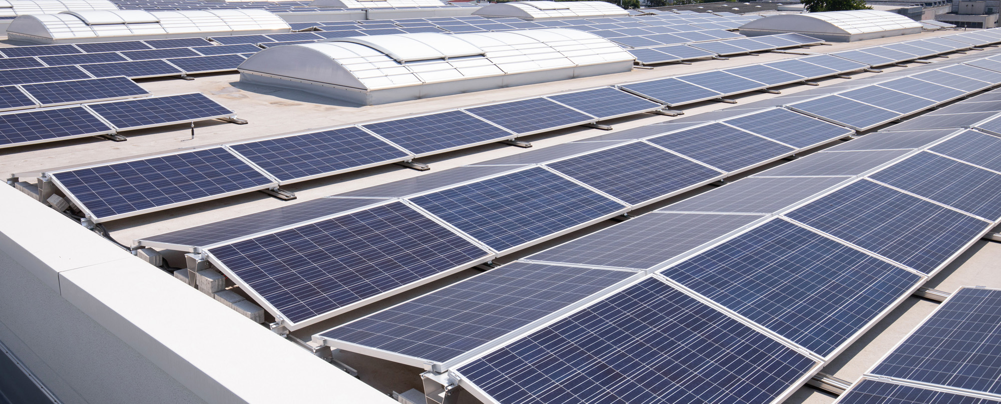 Solar Panel Bird Proofing Service - Square One Environmental