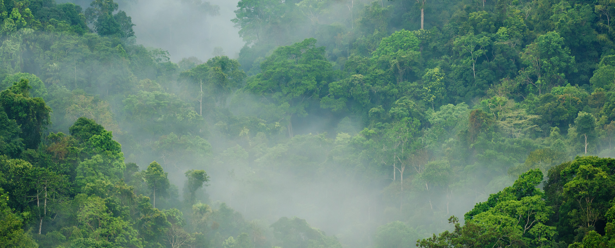 Environmental Policy - Square One Environmental